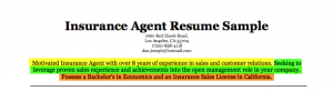 Insurance Agent Resume Sample | Resume Companion