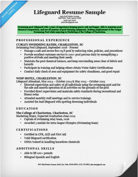 Resume Objective Examples For Students And Professionals RC
