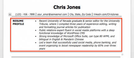 How to Write a Resume Profile [Professional Examples]