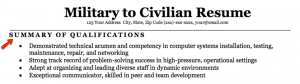 Military to Civilian Resume Sample & Tips | Resume Companion