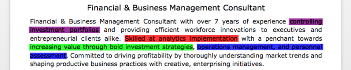 Consulting Resume Sample & Writing Tips | Resume Companion